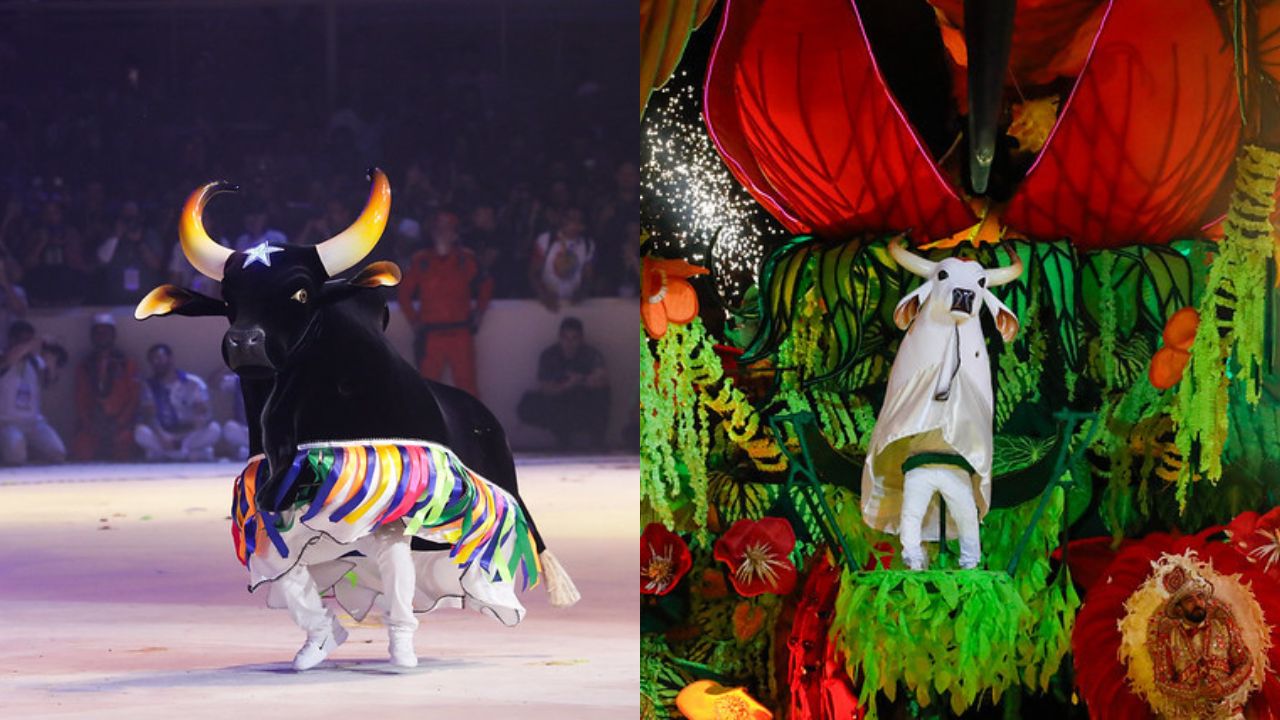 'Festival de Parintins 2024': veja fotos de Caprichoso e Garantido na ...